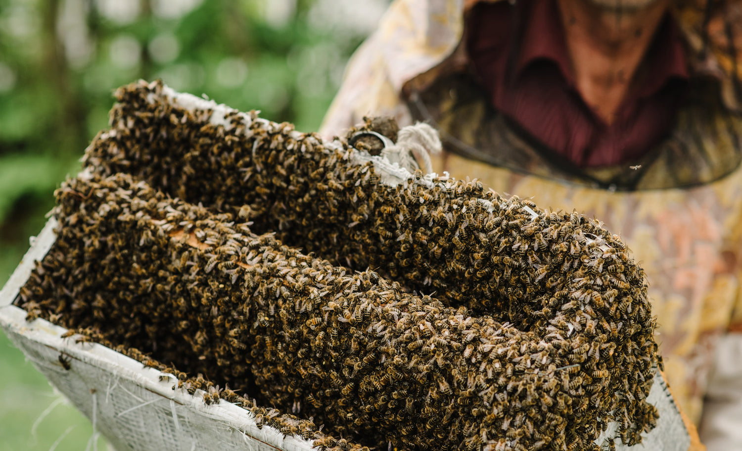 Northern NJ Beekeeping Services | Hive Management & Corporate Programs ...